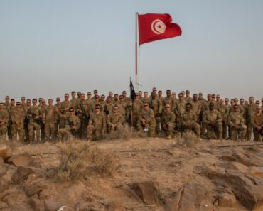 Ukraine Unveils Extremely Environment friendly Army Units for Taking ...